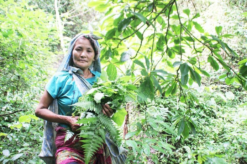 Celebrating resilience of women farmers in Nagaland | MorungExpress ...