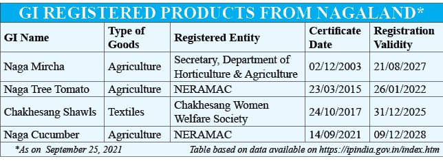 GI TAG FOR NAGA CUCUMBER: Why is it unique from others? | MorungExpress ...