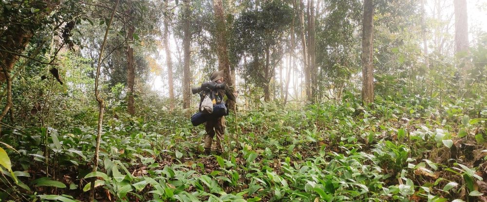 Wildlife Week: ‘Intanki National Park is our hidden gem and pride of ...