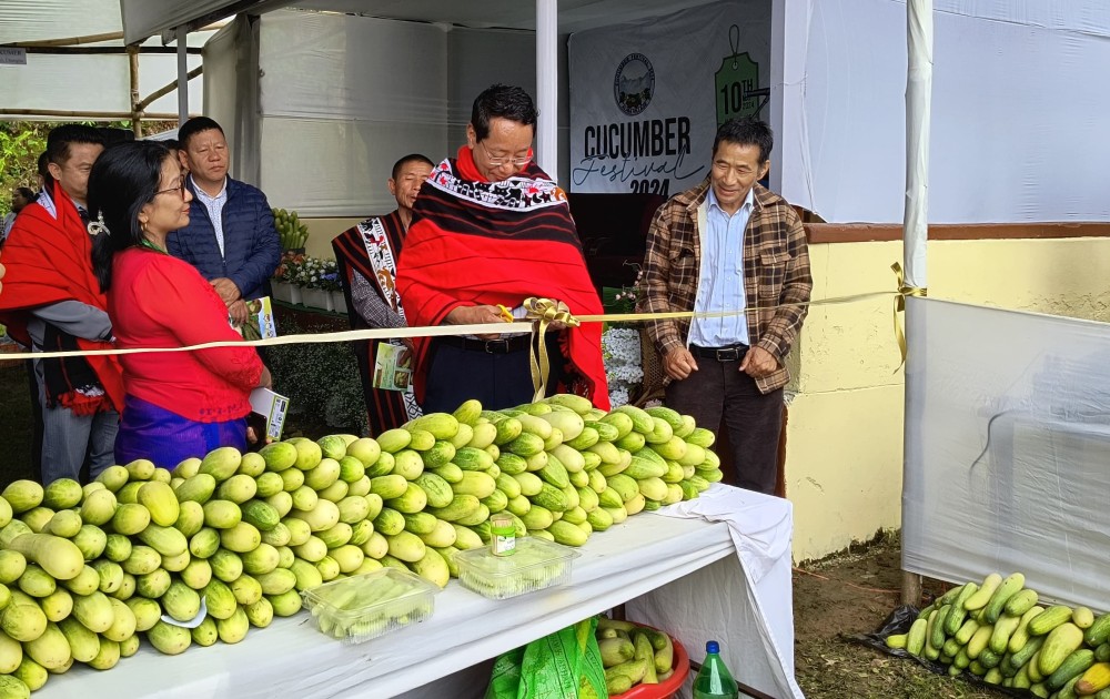 Aliba village celebrates cucumber festival with 22,000 kilo harvest ...
